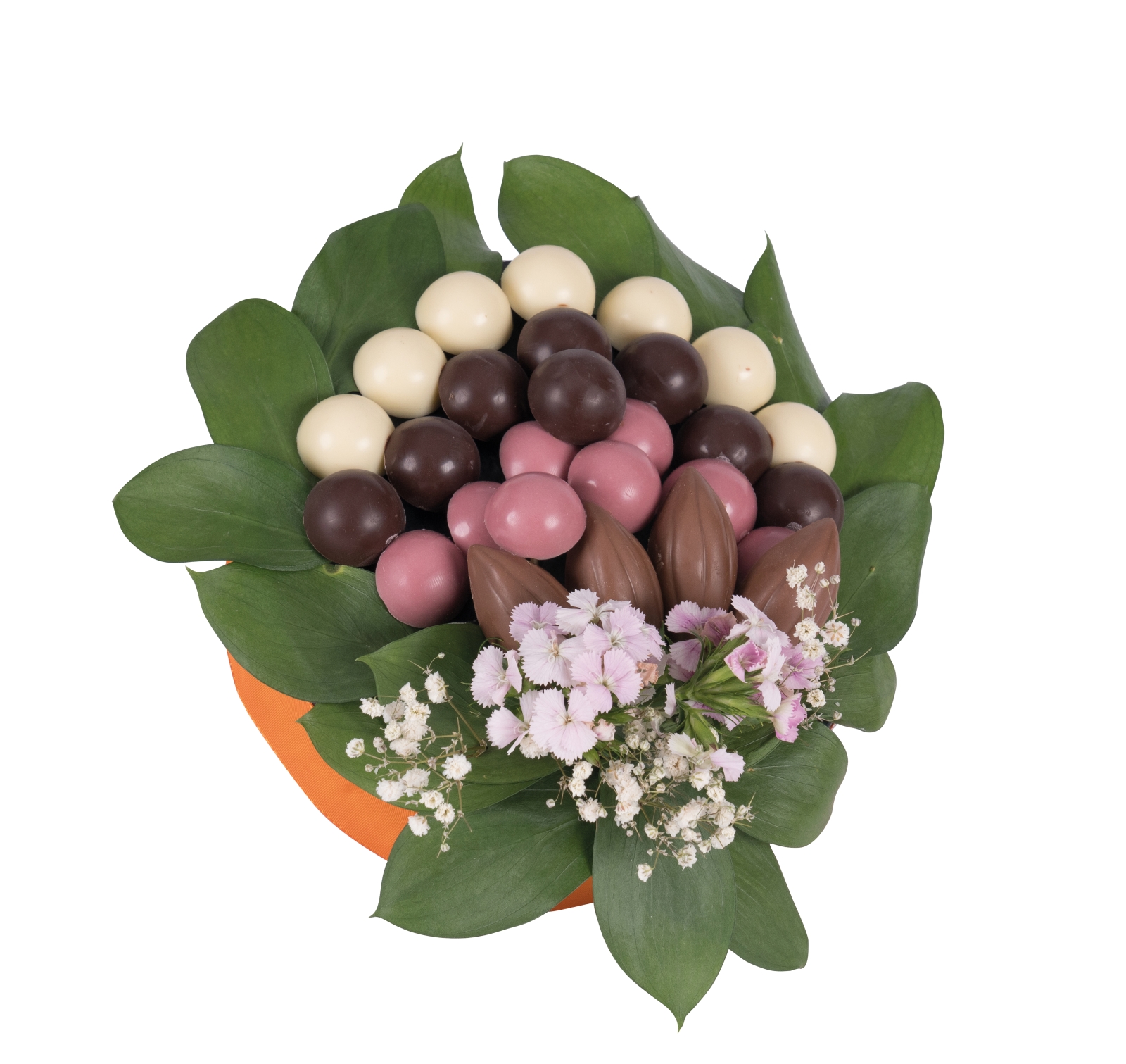 Choclot Lotus