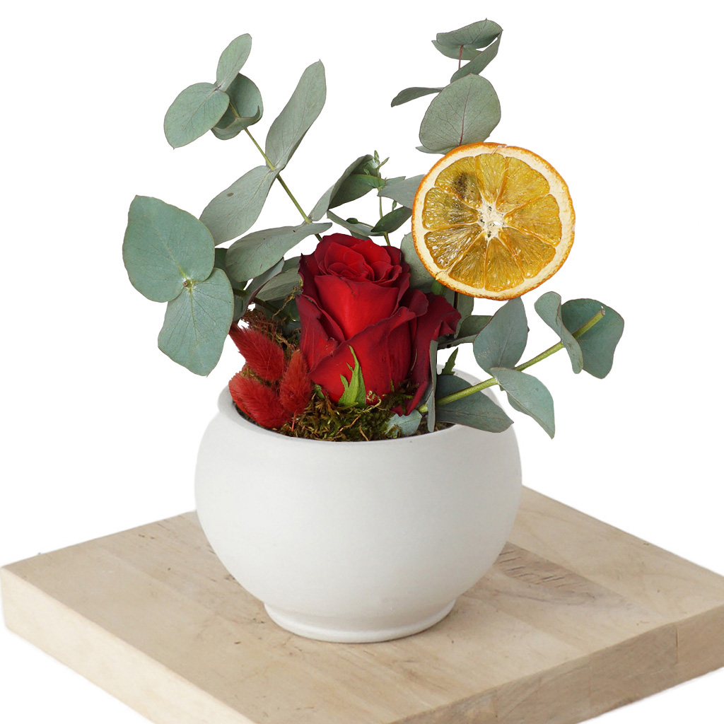 Tek Kırmızı Ekvator Gülü Satın Al - Heryerbitki