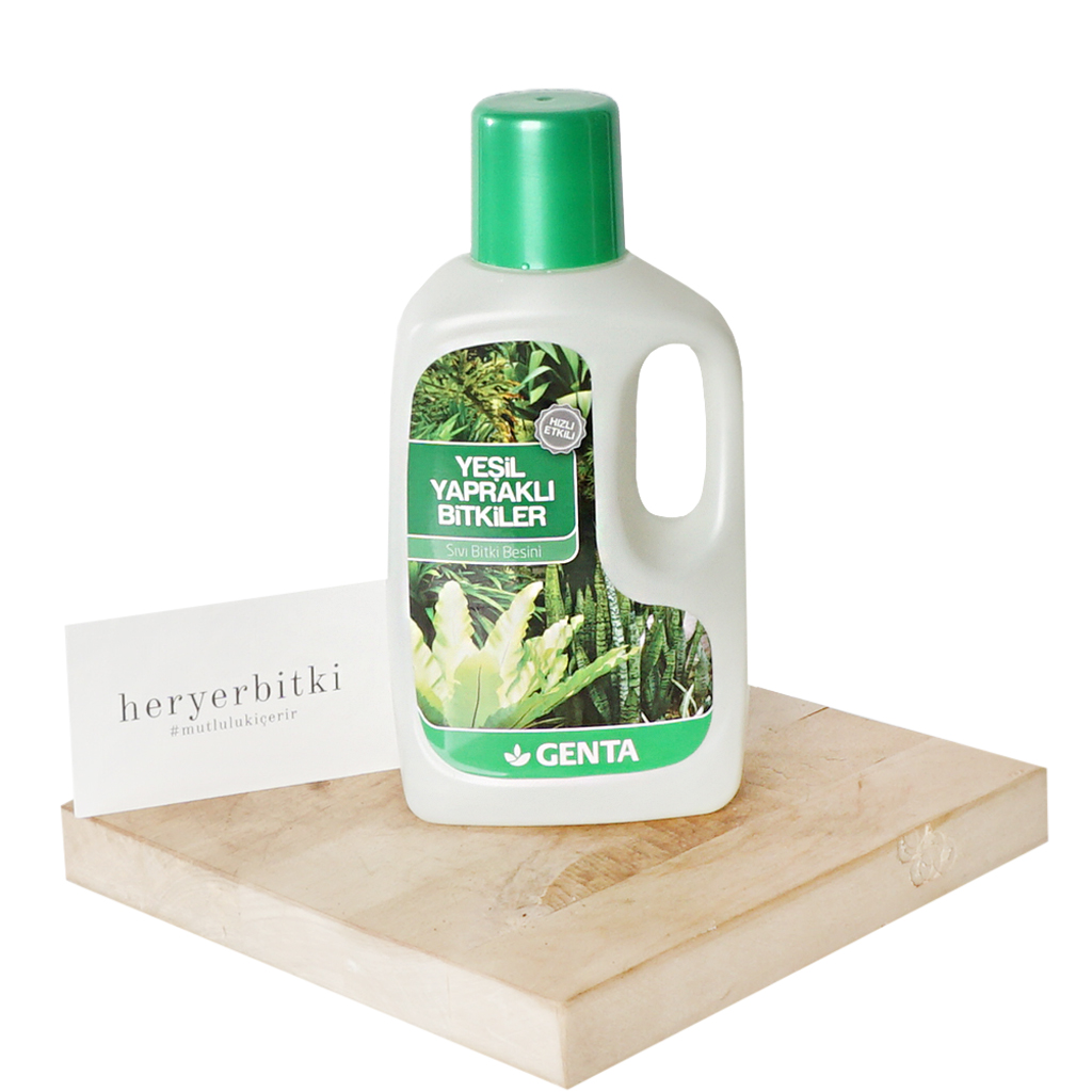 Yeşil Yapraklı Bitki Besini - Heryerbitki