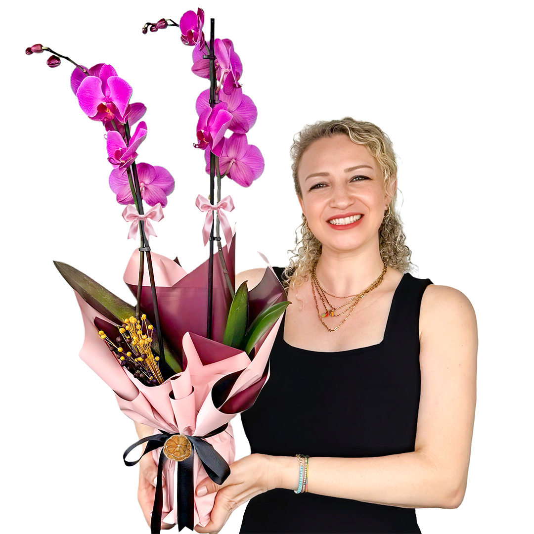 Mor Orkide (Purple Orchid) Hediye Paketli - Hediyelik Orkideler